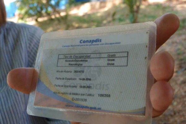 Cómo Iniciar Sesión En El Conapdis - Requisitos Y Más